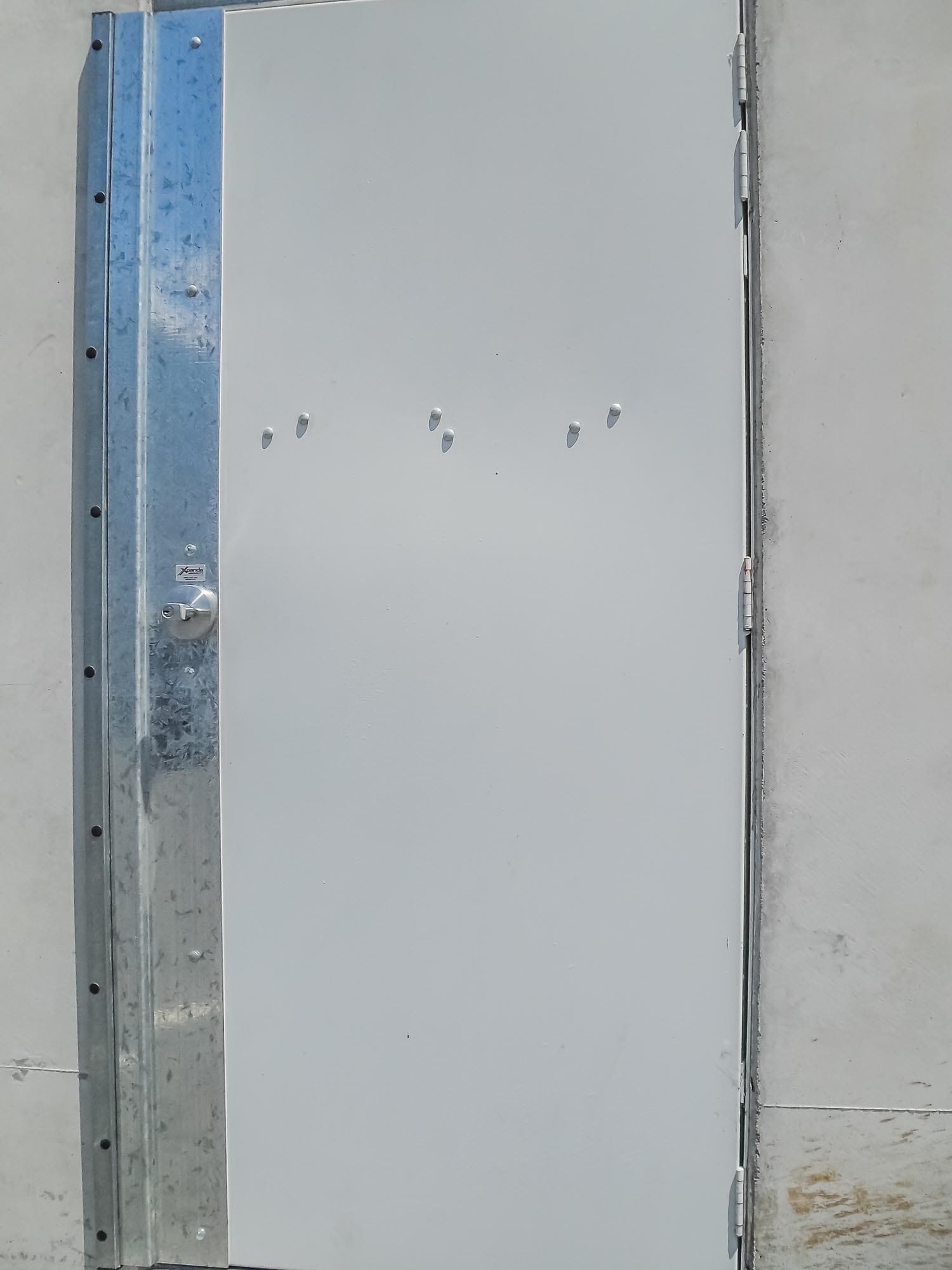 Anti-Jemmy Strip - Door Strengthening | Xpanda