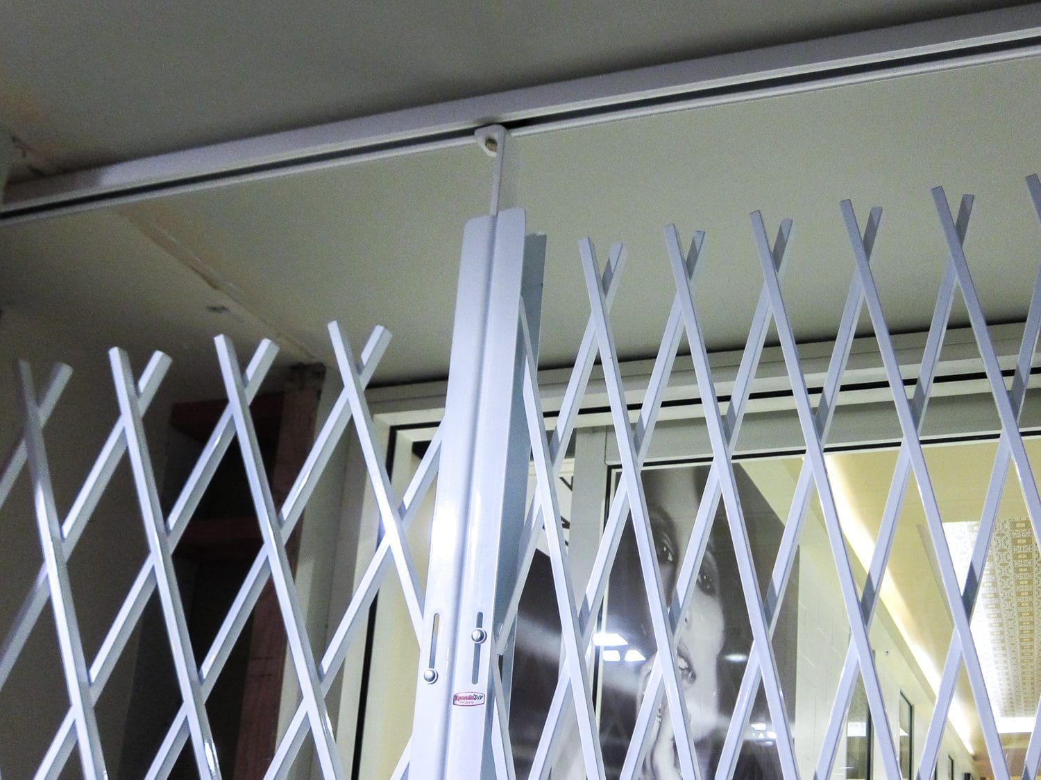 Saftidor Retractable Security Grille - Auckland | Xpanda